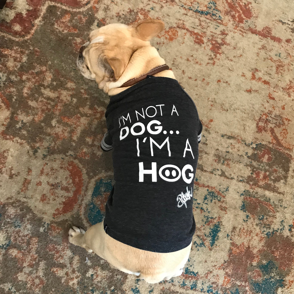 Hog / Dog Ringer Tee – PODUNK