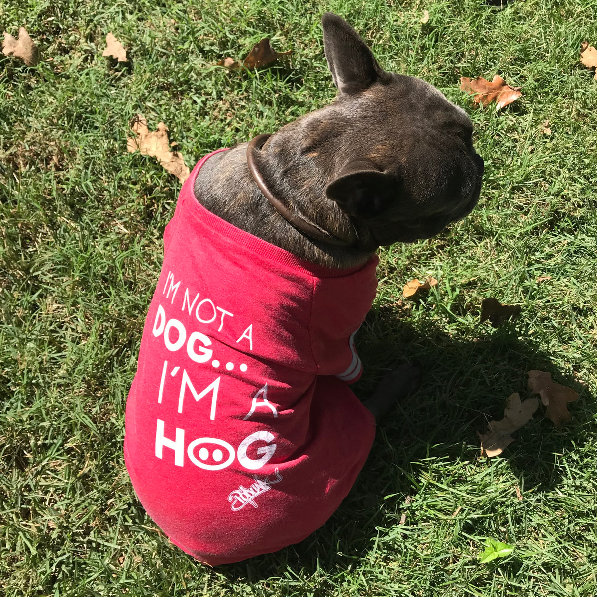 Hog / Dog Ringer Tee – PODUNK